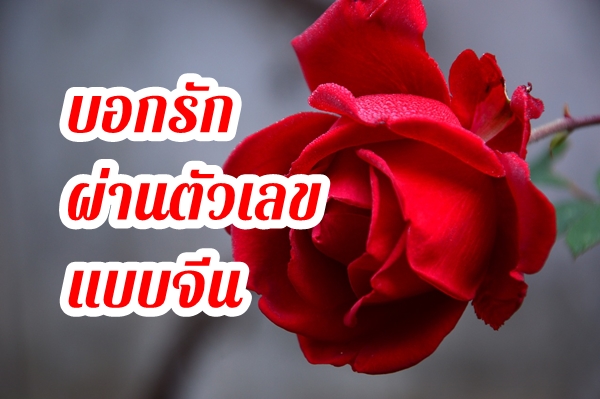 520 1314 บอกรักด้วยตัวเลขแบบจีน – Chinatalks